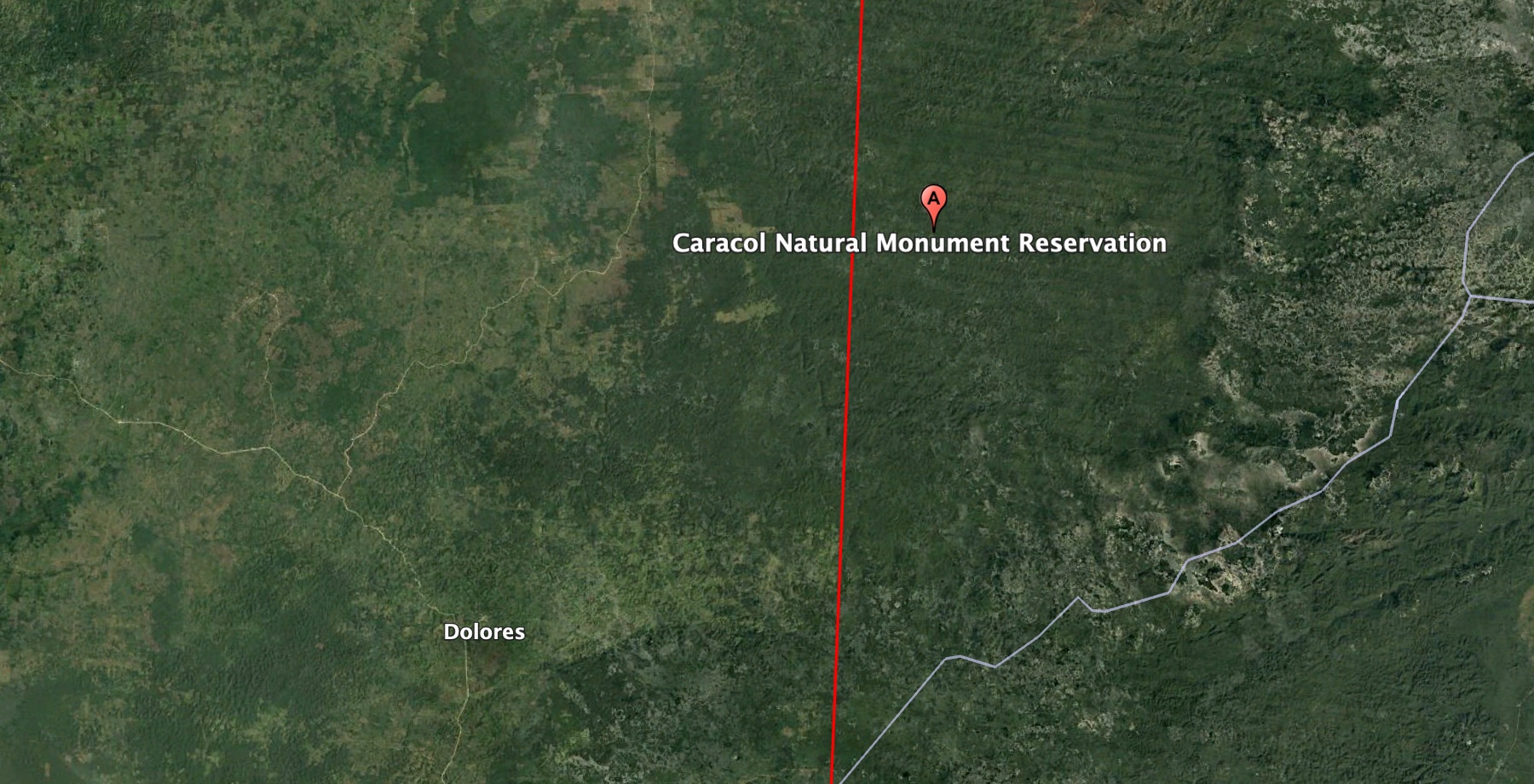 Narco Links Suspected as Cattle Ranching Threatens Belize Rainforests ...