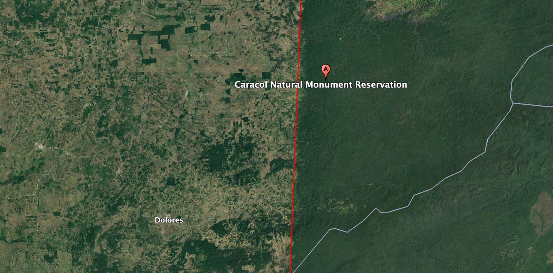 Narco Links Suspected as Cattle Ranching Threatens Belize Rainforests ...